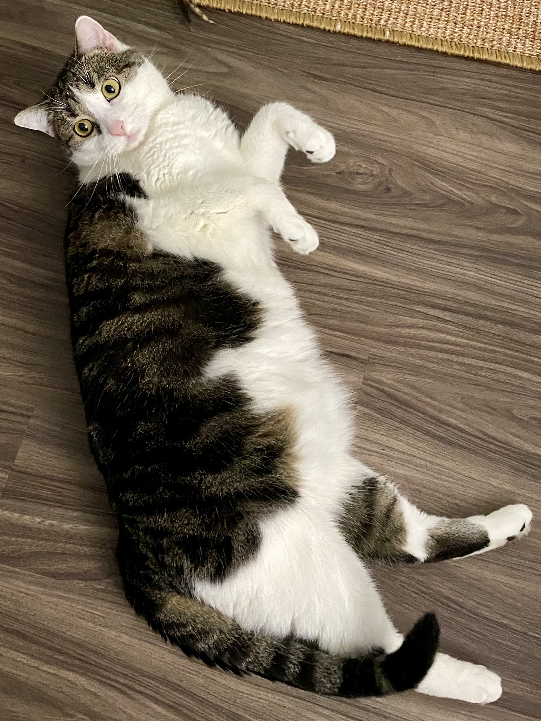 Meet Our Lab Members – Wei Lab